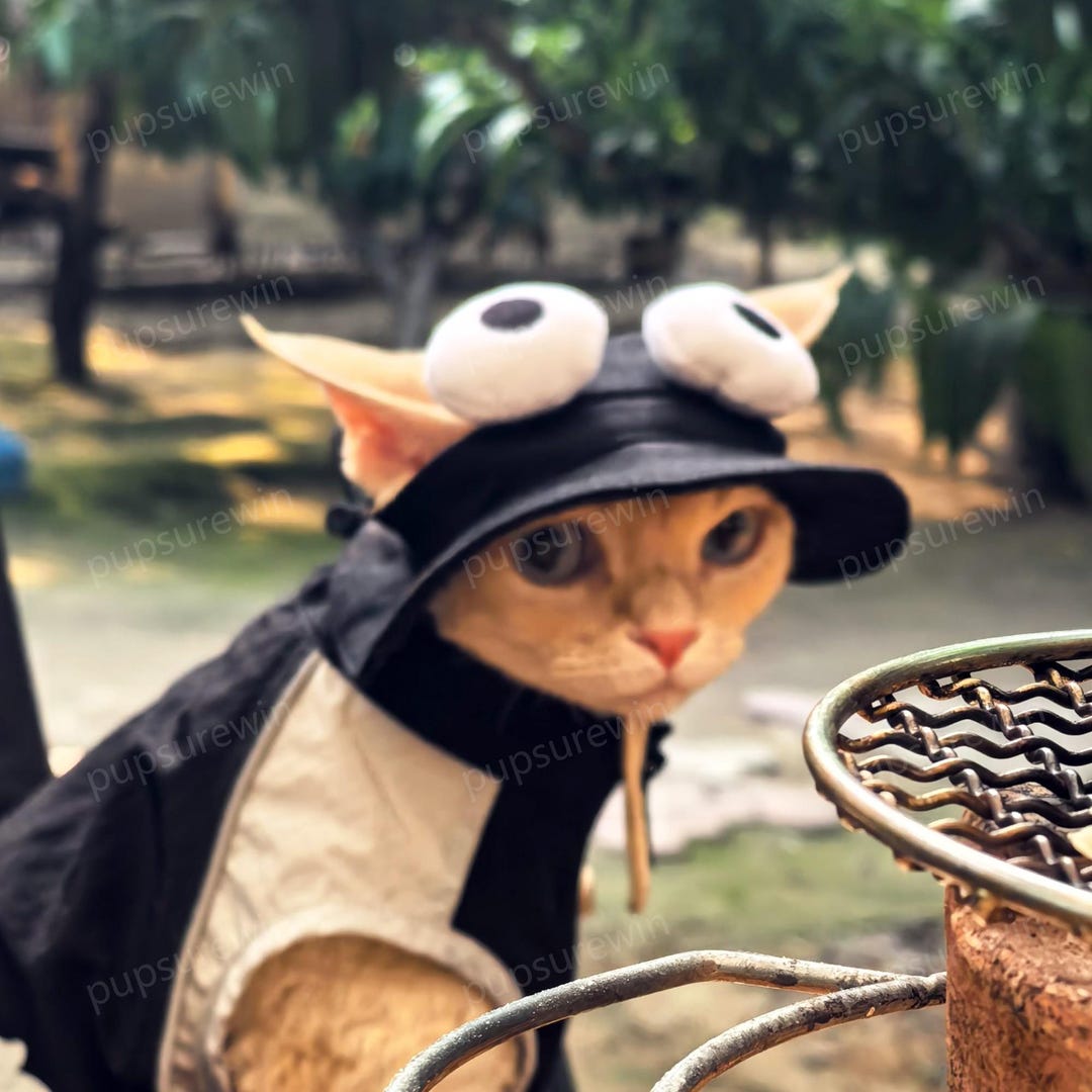 Summer Bucket Hat With Ear Holes for Sphynx Cat Devon Rex, 3D Eyed Sun ...