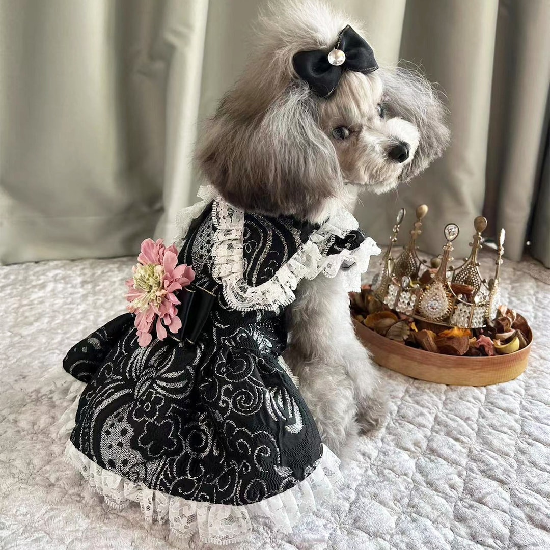 Dog Princess Costume Halloween Party, Royal Court Queen Costume Luxury ...