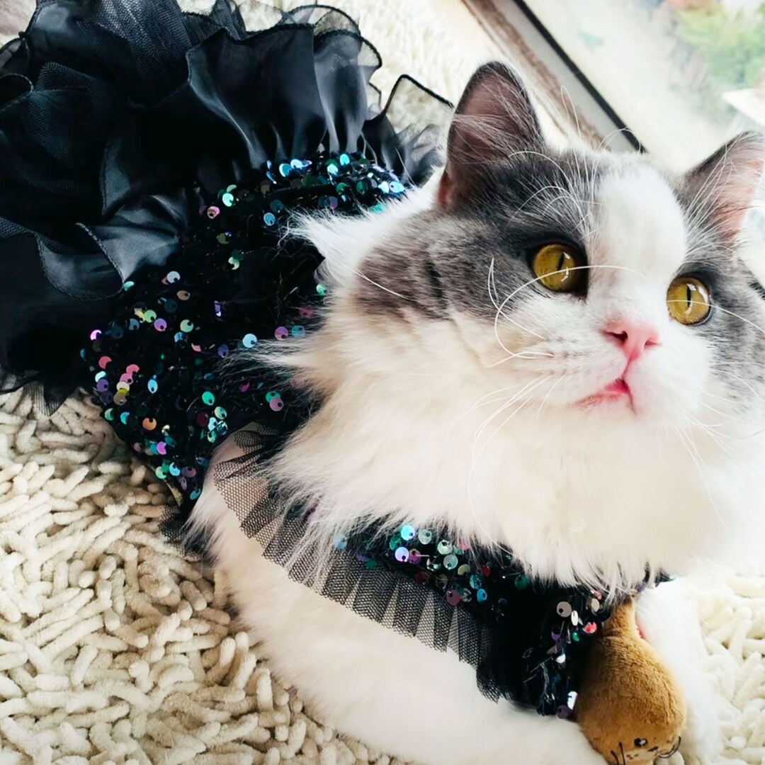 Black Sparkling Fancy Cat Dress Cat Disco Party Quinceanera - Etsy