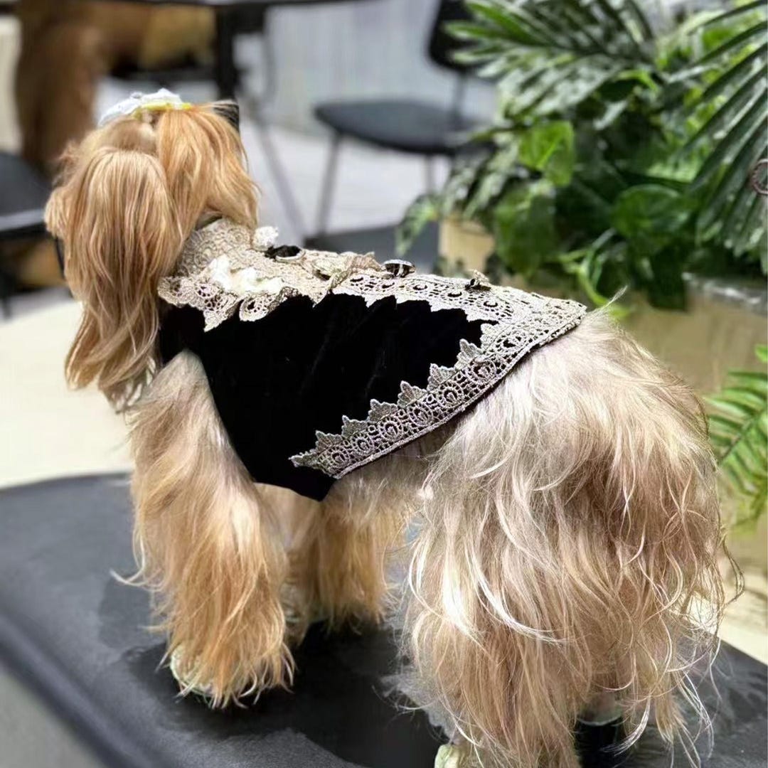 Custom Dog Prince Costume, Black Velvet Jacket Coat for Large Dogs and ...