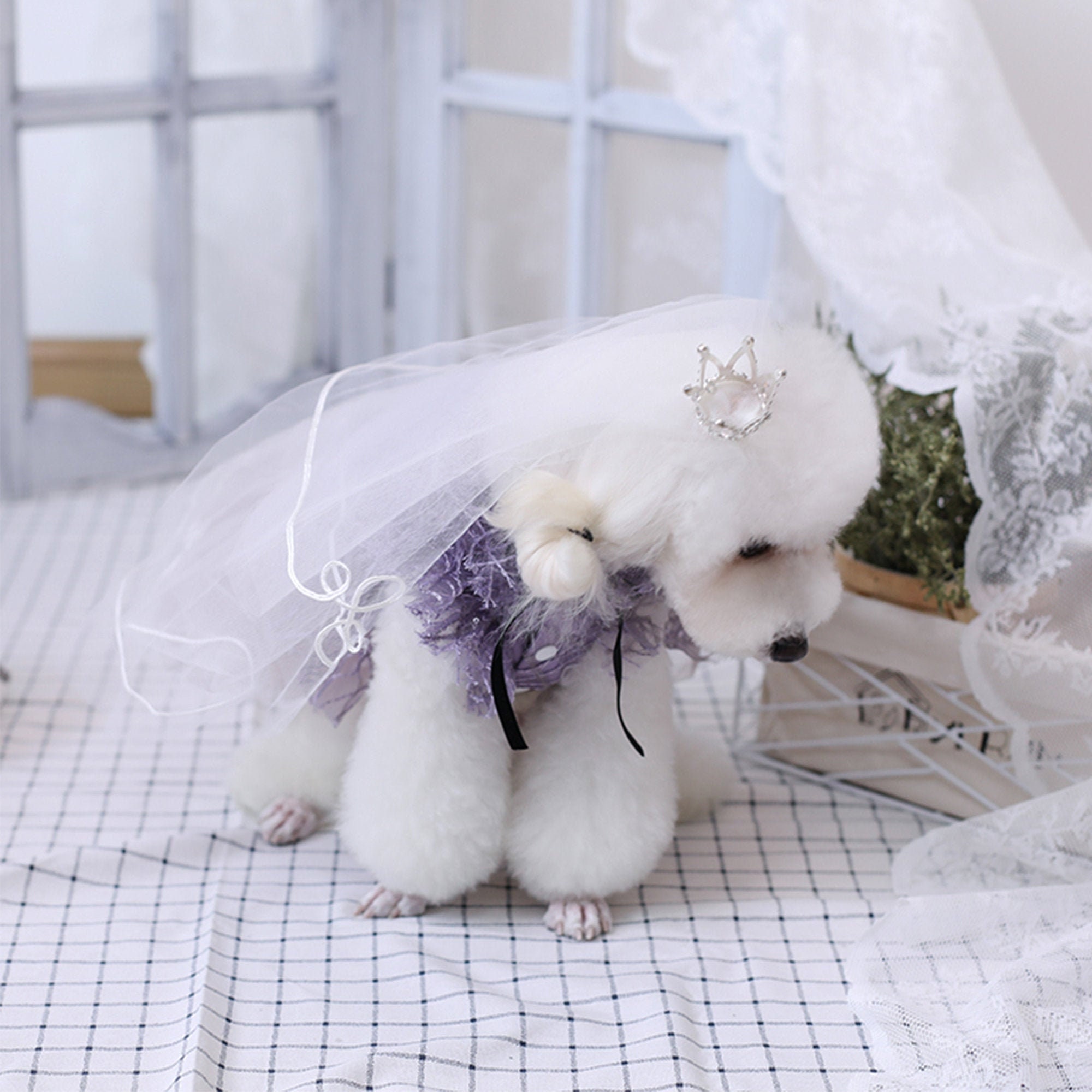 Cat Dog Wedding Veil Pet Bride Bridesmaid Costume Birthday | Etsy