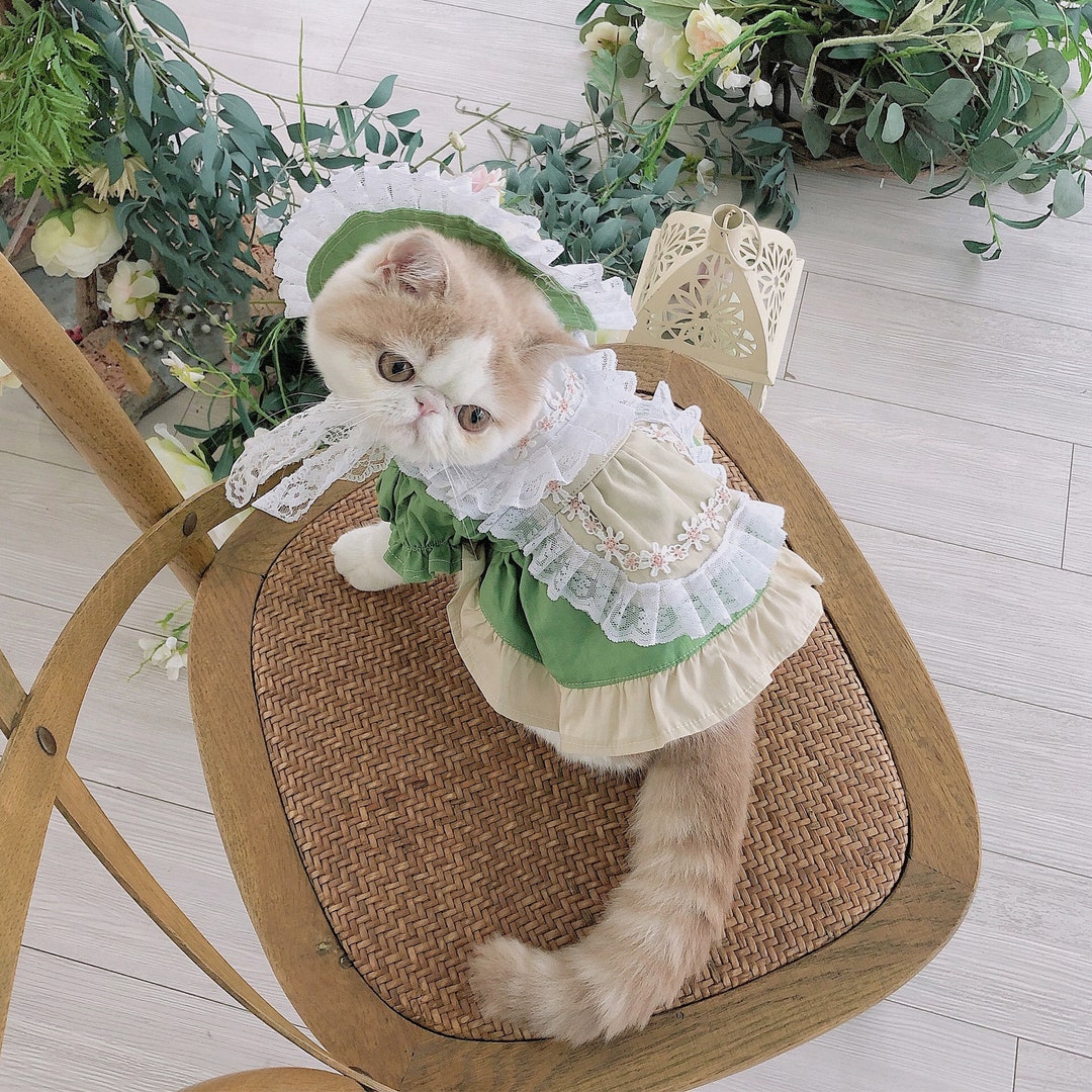 Cat French Maid Halloween Costume, Maid Uniform Cosplay Party Dress for ...