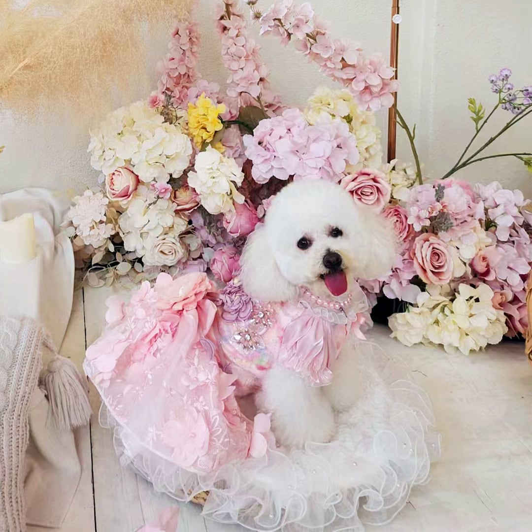Dog Wedding Dress Pink Flower Fairy Dog Costume Halloween, 3D Floral ...