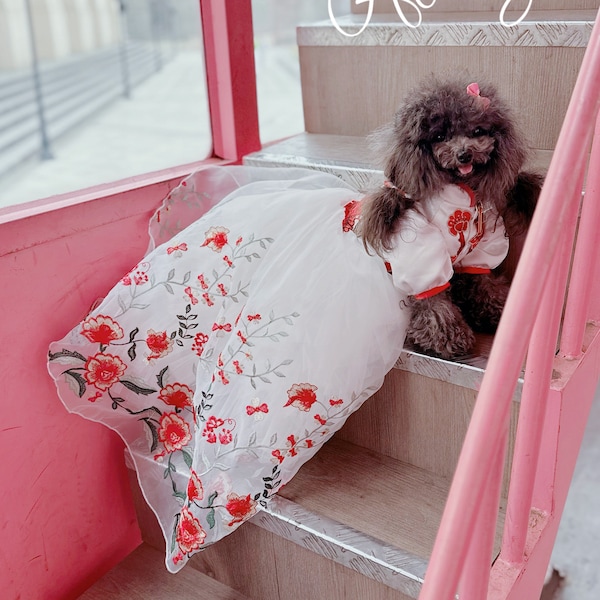 Prom Dress for Dogs - Etsy