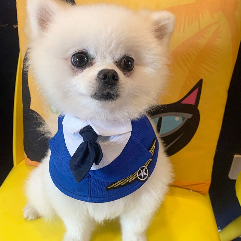 Dog Pilot Costume Halloween Air Force Dog Bandana Air - Etsy