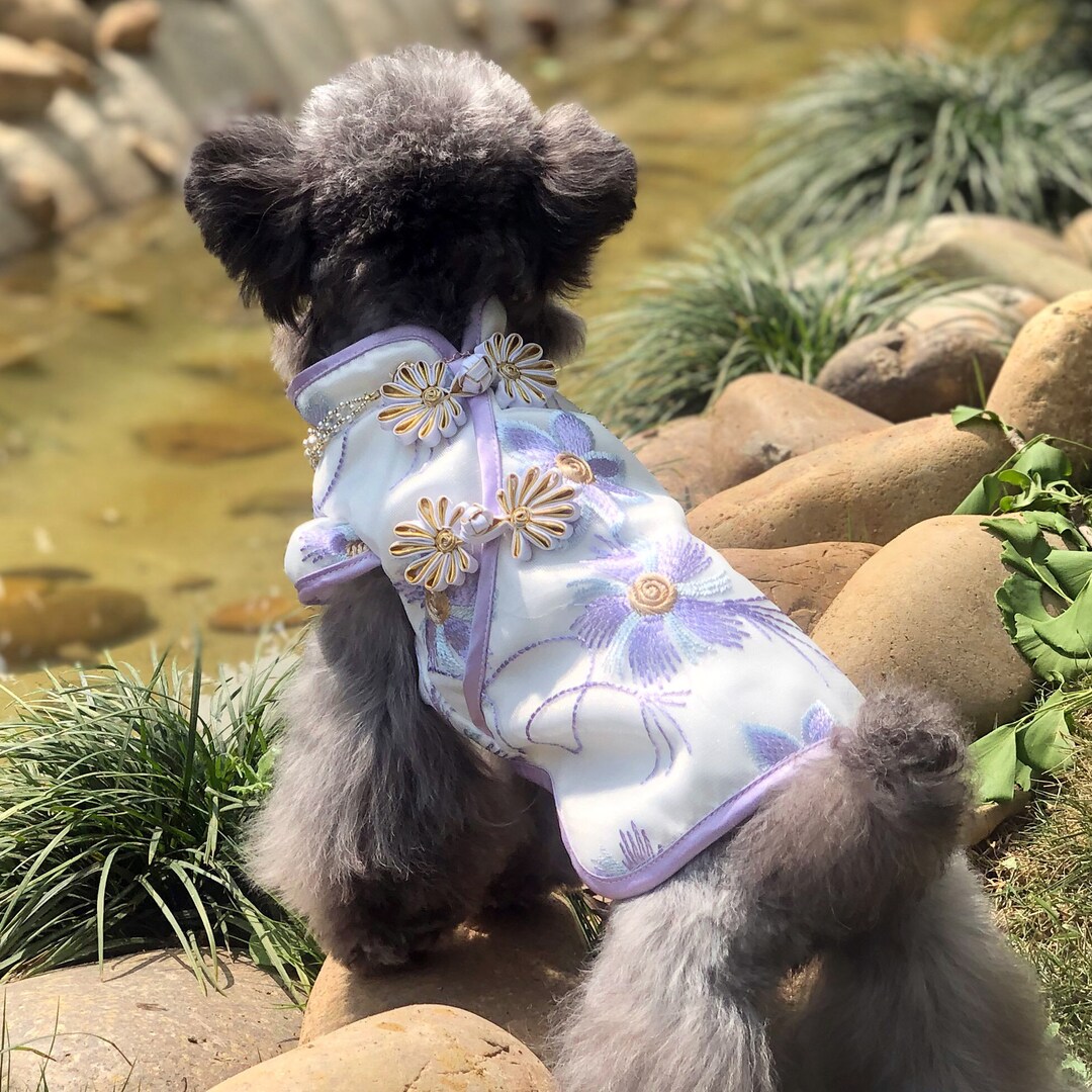Cat Dog New Years Outfit, Dog Cheongsam Dog Qipao Lavender, 1920s ...