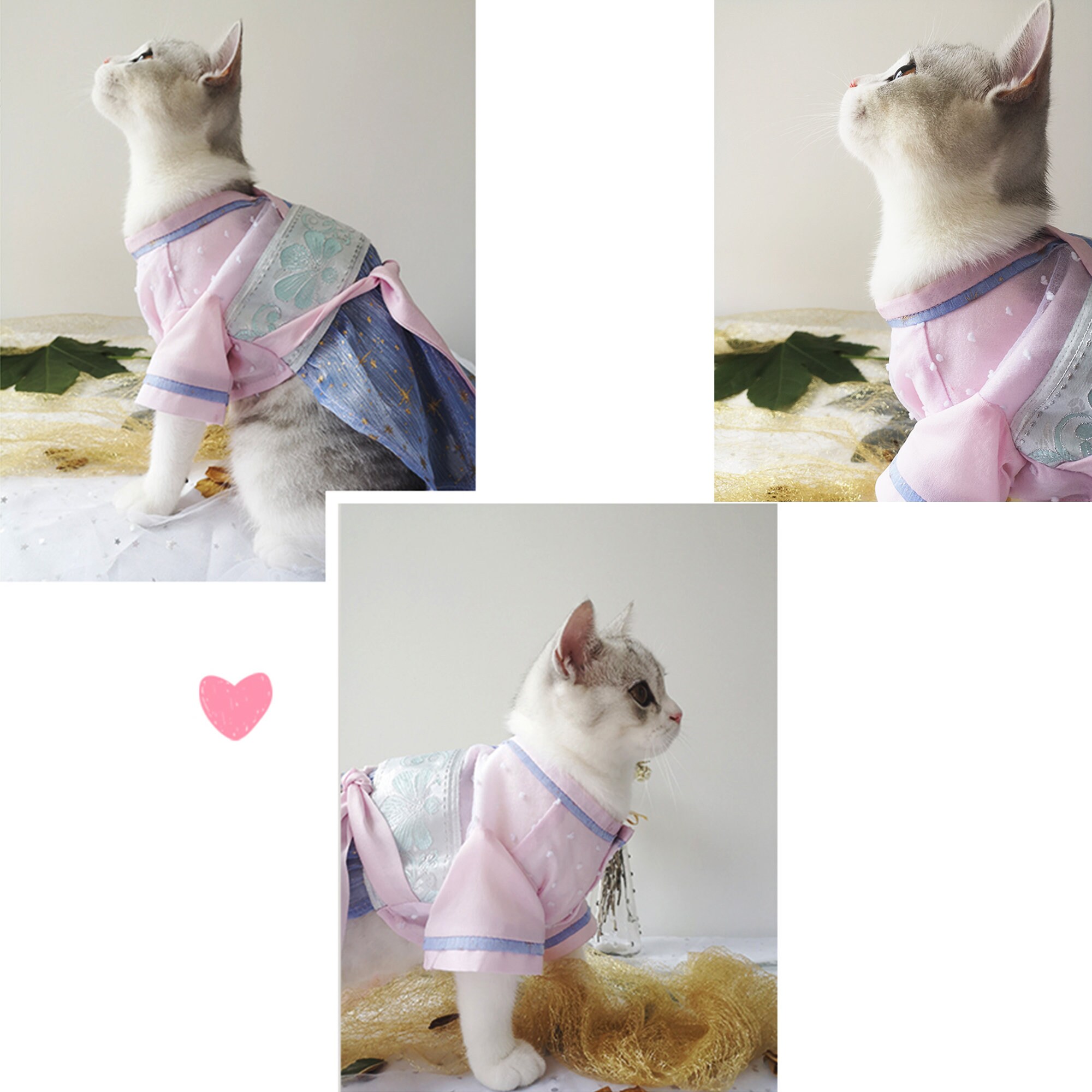 Cat Dog Chinese Hanfu Han Costume Oriental Tang Suit New Year - Etsy