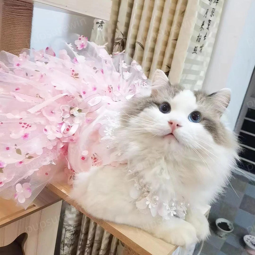 Cat Flower Dress Sakura Pink, Floral Fancy Tutu Dress for Cats and Dogs ...