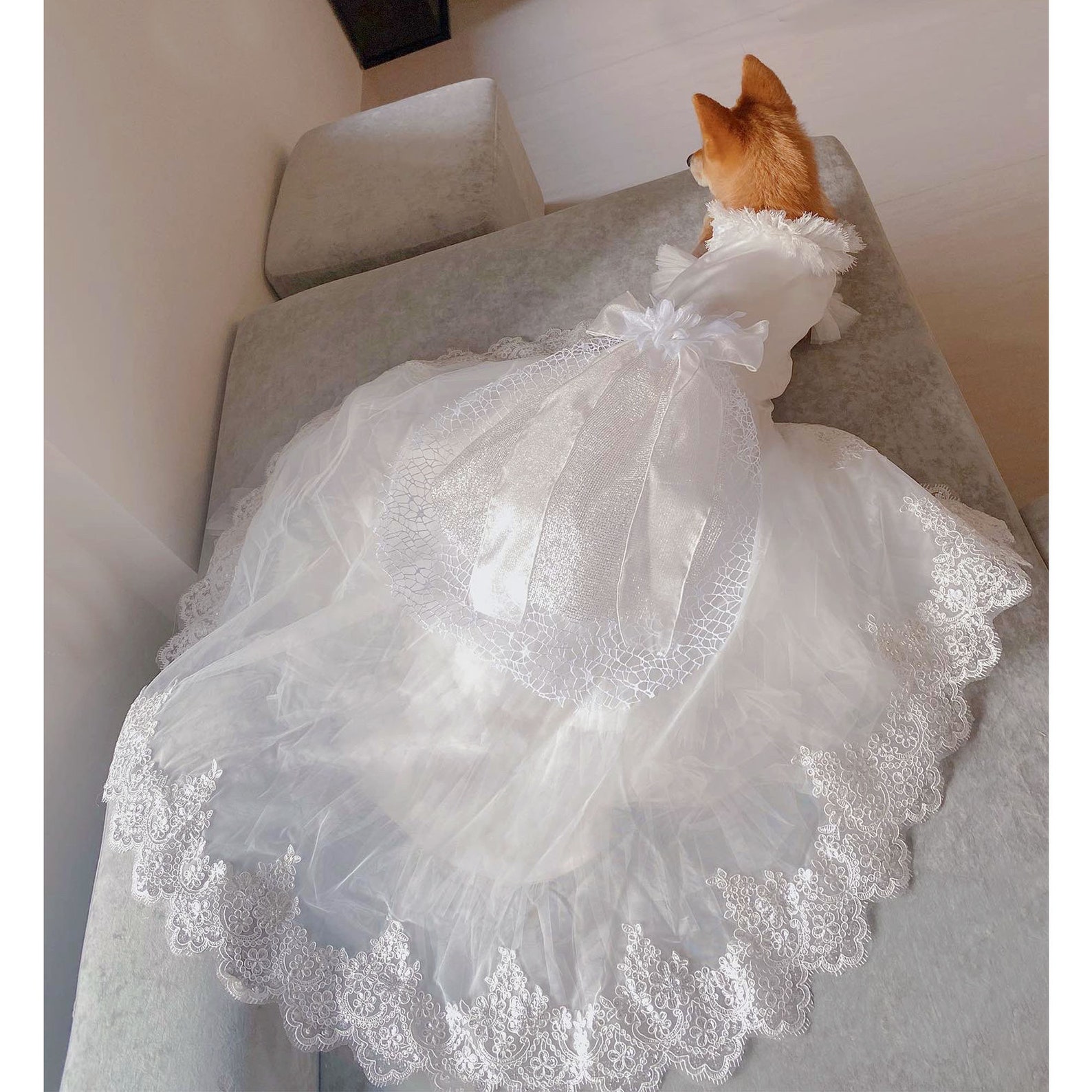 Cat Dog Wedding Dress Pet Long Train Gown Bride Bridesmaid - Etsy