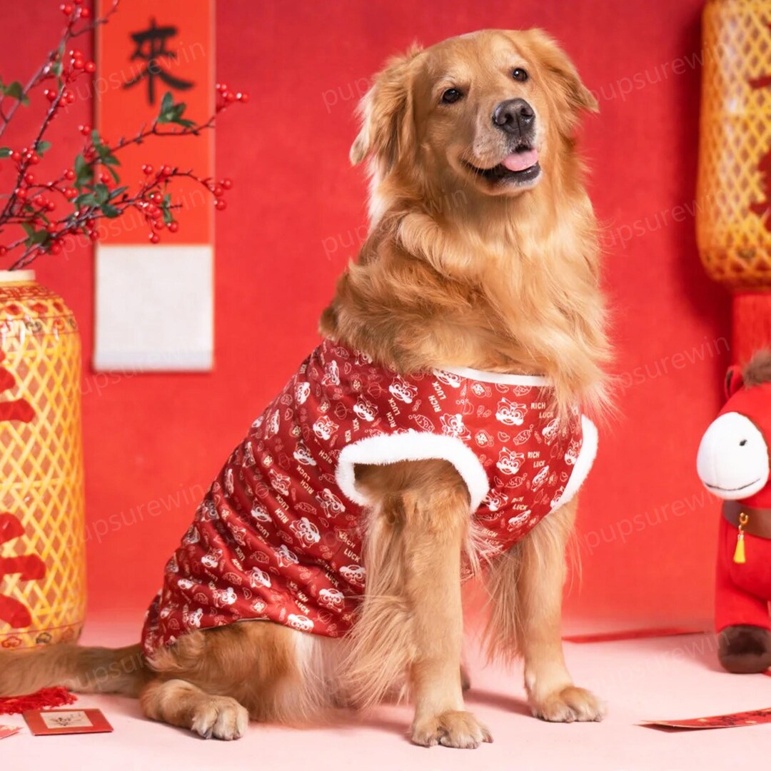 Lunar New Year Outfit for Large Dogs, Chinese Spring Festival Lion ...