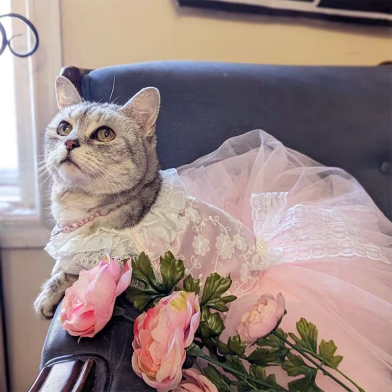 Cat Wedding Dress - Etsy