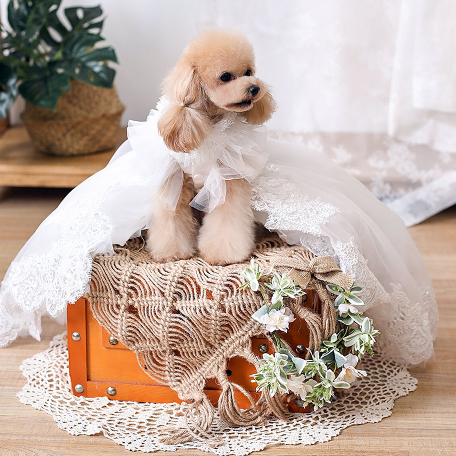 Cat Dog Wedding Dress Pet Long Train Gown Bride Bridesmaid - Etsy