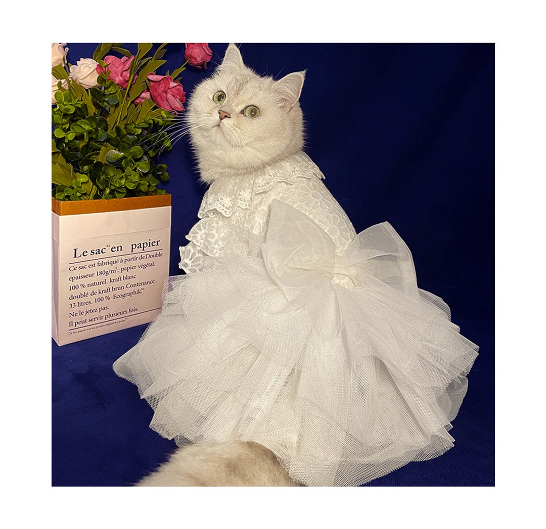 Cat Wedding Dress White Cat Bride Bridesmaid Costume Cat - Etsy
