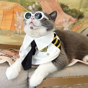 Cat Pilot Costume Halloween, Air Force Cat Bandana, Air Captain Cat ...