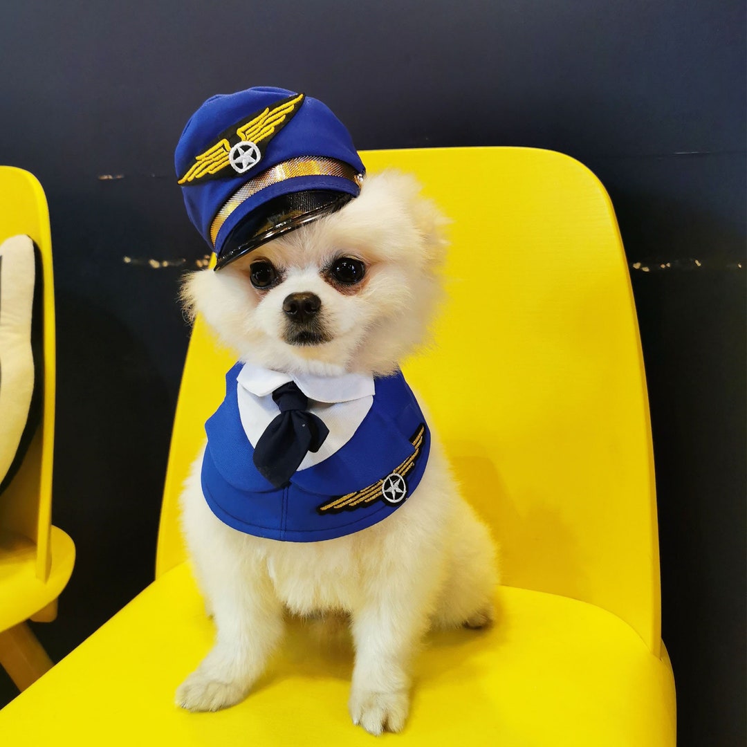 Dog Pilot Costume Halloween, Air Force Dog Bandana, Air Captain Dog ...