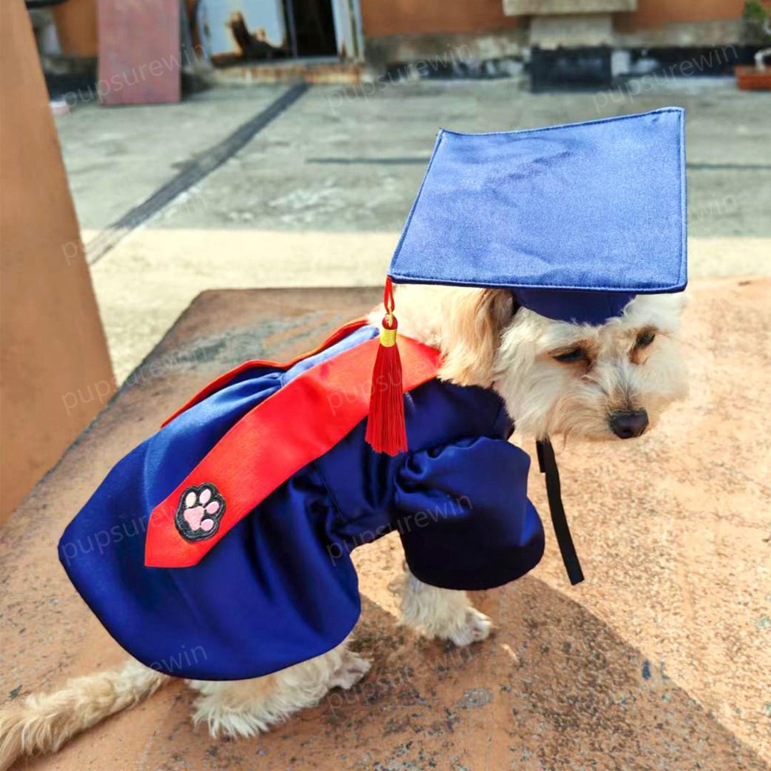 Custom Dog Graduation Cap and Gown, Graduation Robe Outfit for Dogs and ...