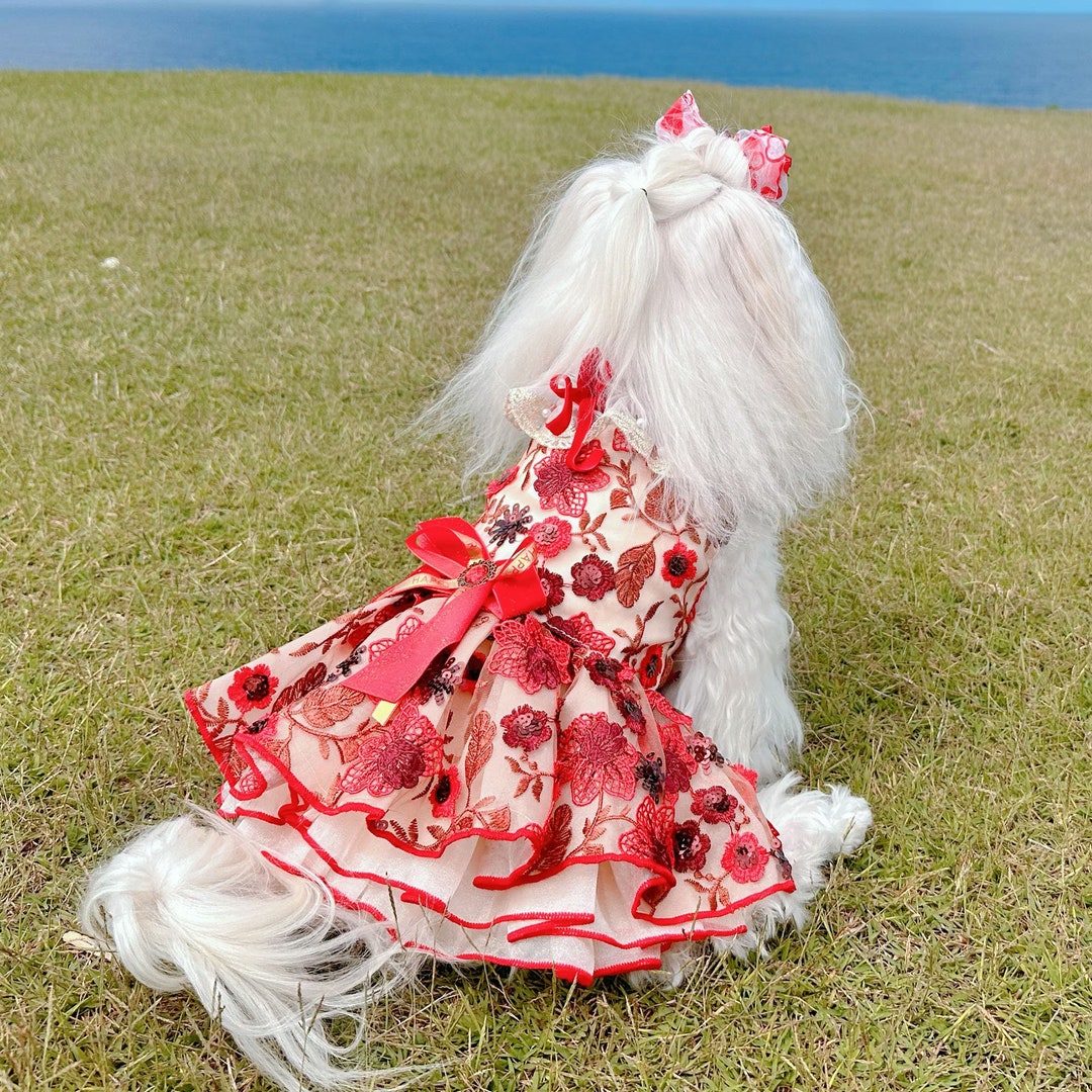 Dog Floral Fairy Dress, Multi Flower Embroidered Tulle Dress, Dog ...