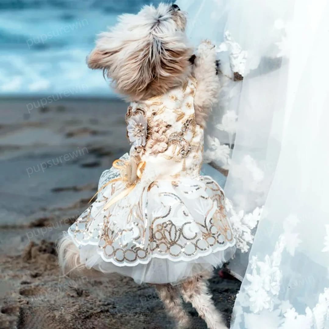 Customizable Dog Wedding Dress Champagne, Dog Flower Girl Dress, Fancy ...