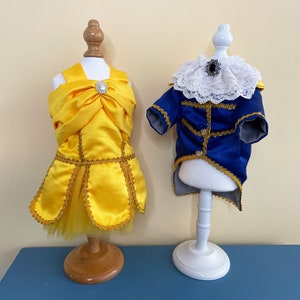 Beauty and the Beast Belle Dog Costume - Etsy