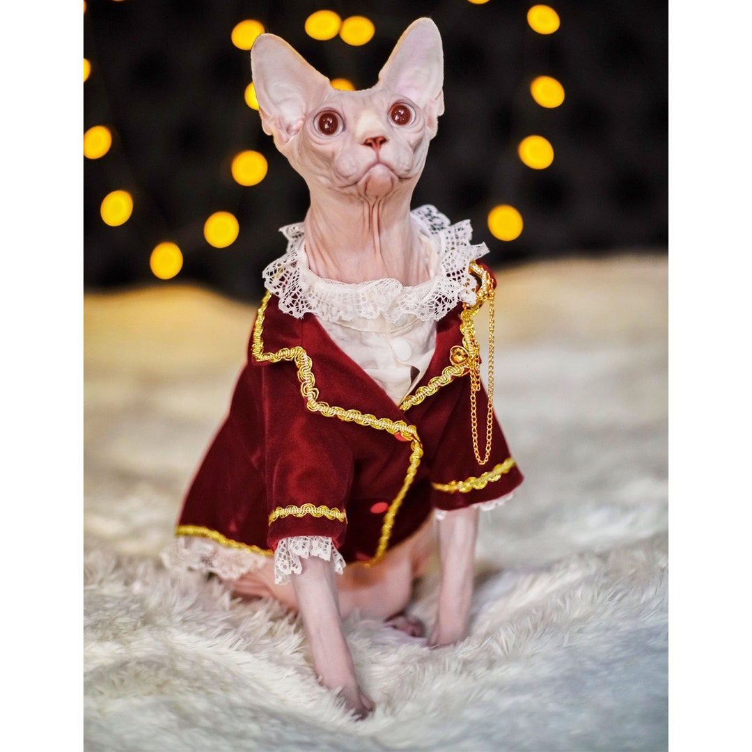 Sphynx Cat Wedding Tuxedo Red, Sphynx Cat Prince Costume Halloween ...