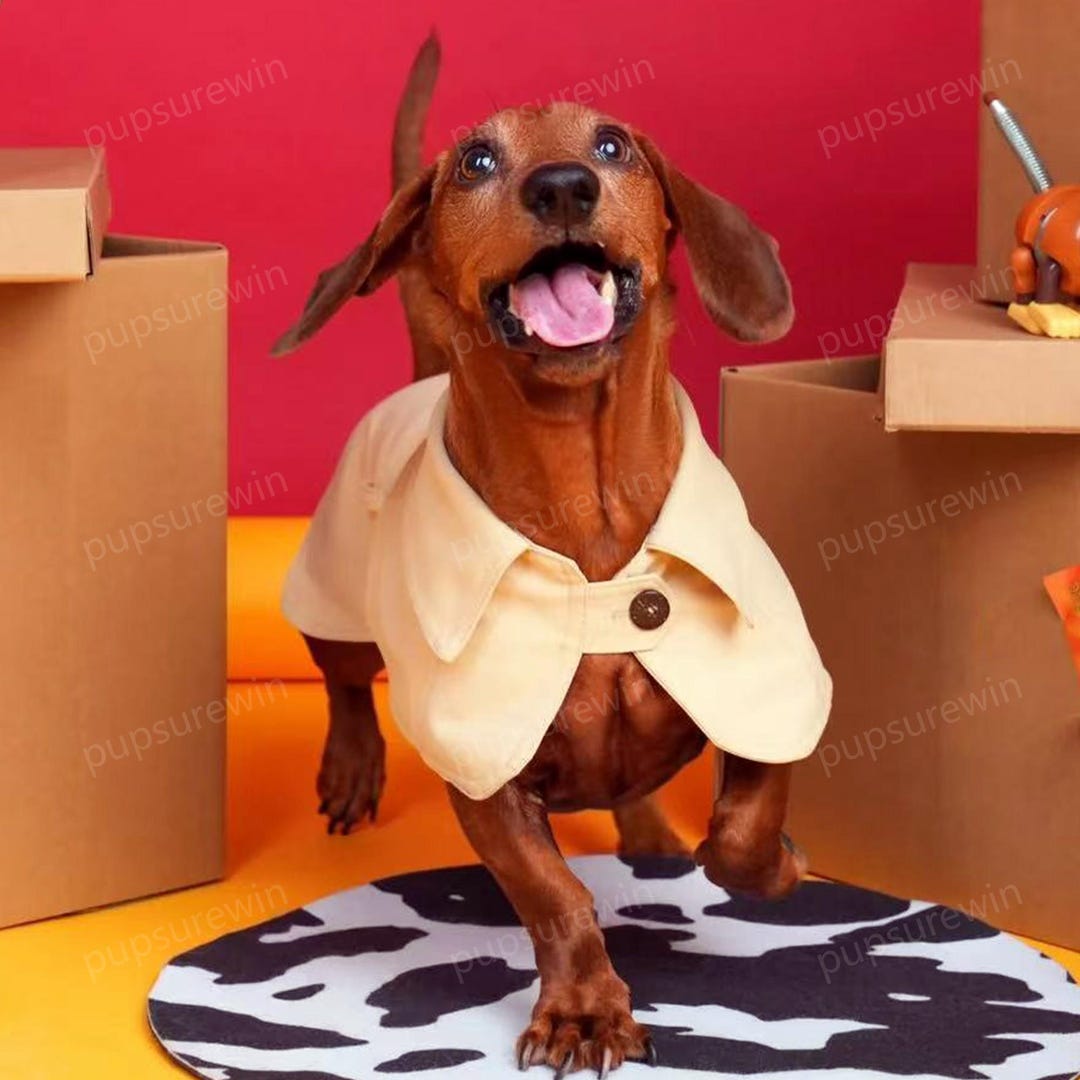 Dog Trench Coat Custom Size, Light Khaki Trench Coat for Cats and Large ...