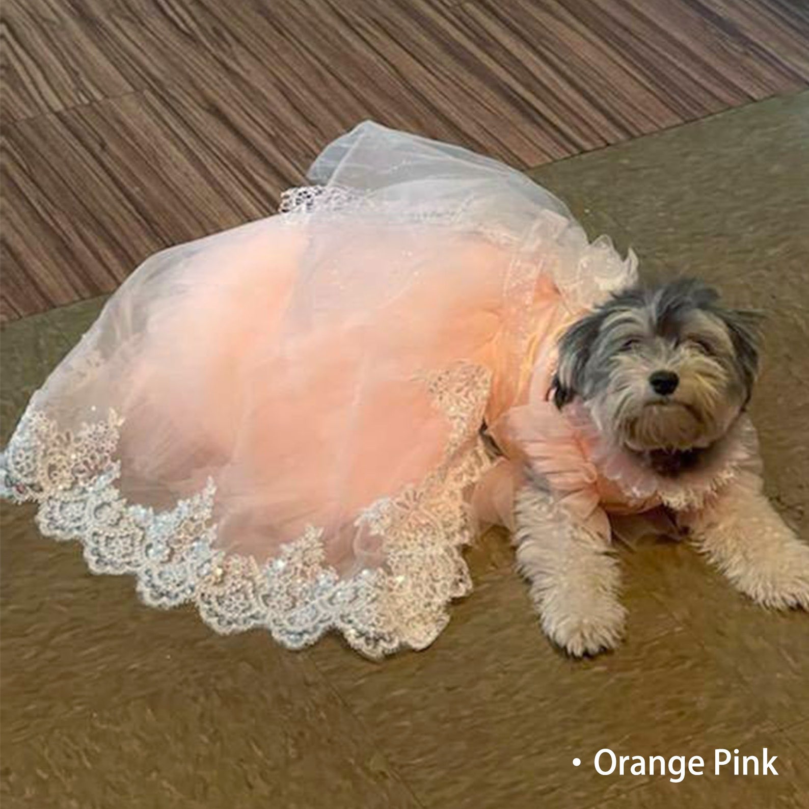 Cat Dog Wedding Dress Pet Long Train Gown Bride Bridesmaid - Etsy