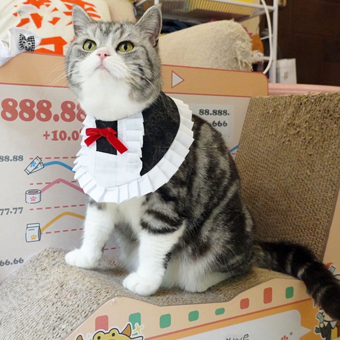 Cat Maid Costume Halloween French Maid Cat Bandana Cat - Etsy