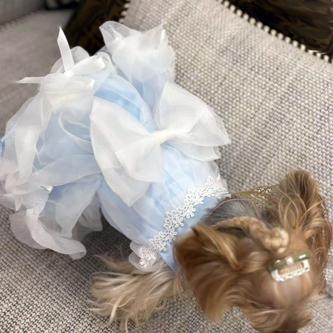 Dog Blue Fancy Dress Custom Size, Wedding Gown Blue Tulle Costume for ...