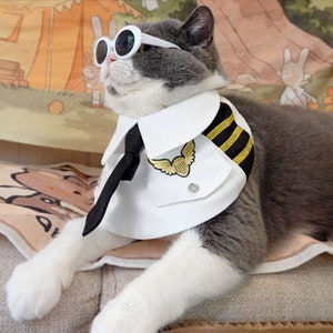 Cat Pilot Costume Halloween, Air Force Cat Bandana, Air Captain Cat ...