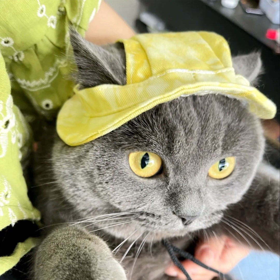 Cat Bucket Hat With Ear Holes, Summer Cat Topee, Cat Sunbonnet Cap, Cat ...