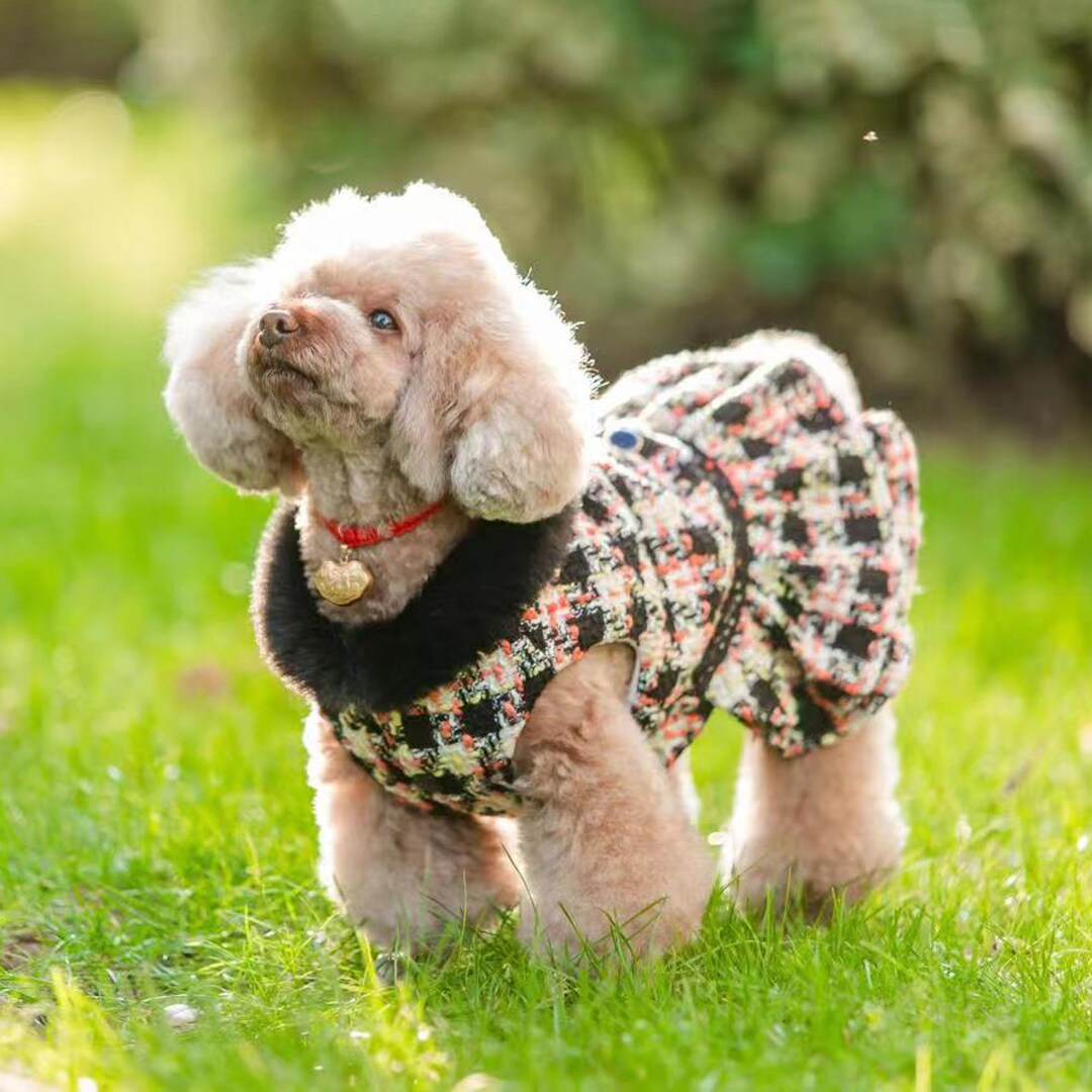 Black Tweed Dog Dress Custom Size, Vintage Tweed Jacket for Large Dogs ...
