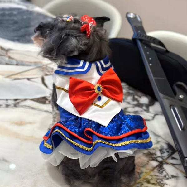Custom Anime Dog Costume - Etsy