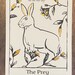 The Archer Tarot Card Set - Etsy