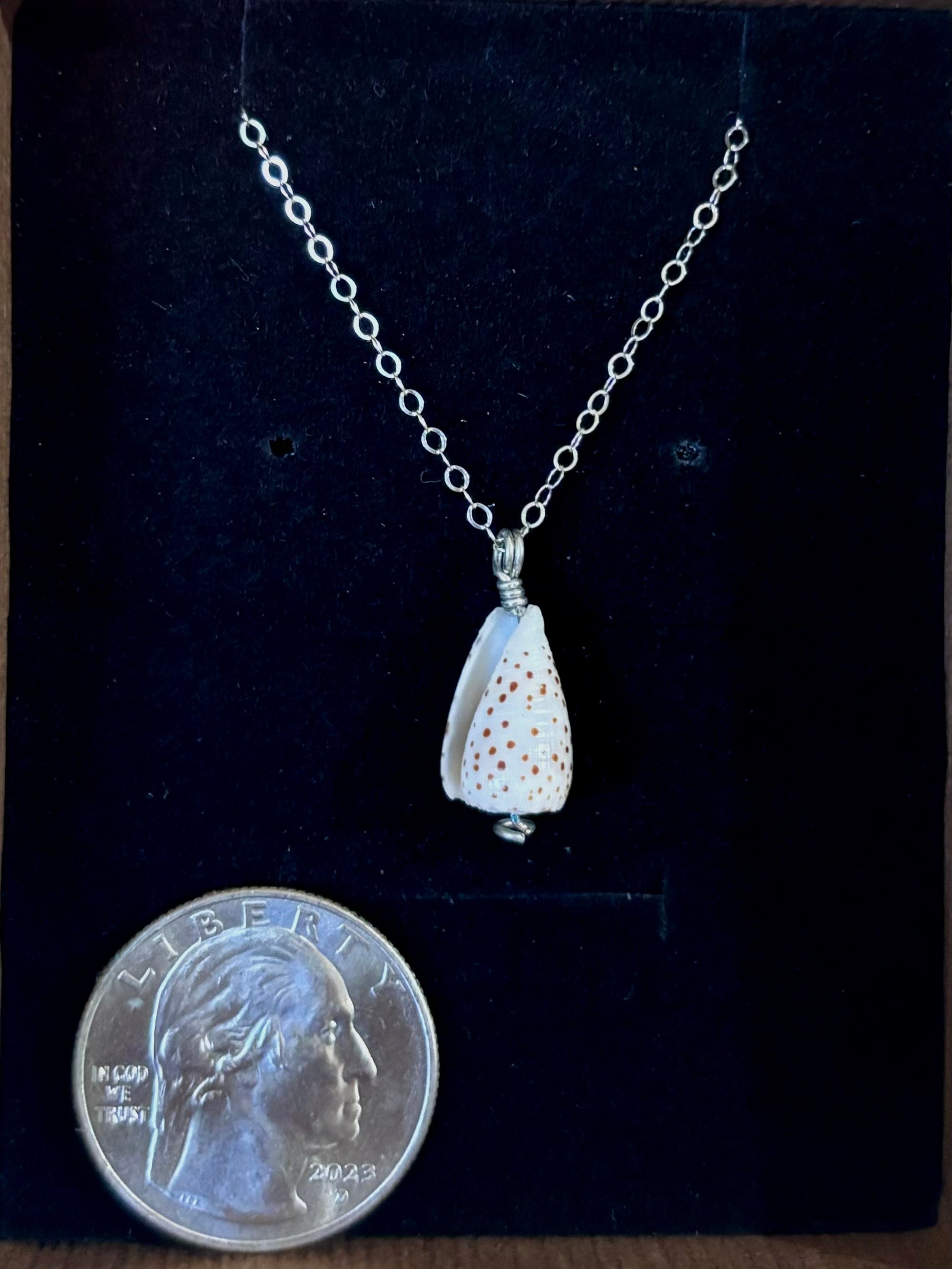 Hawaiian Cone Shell Necklace 1 - Etsy