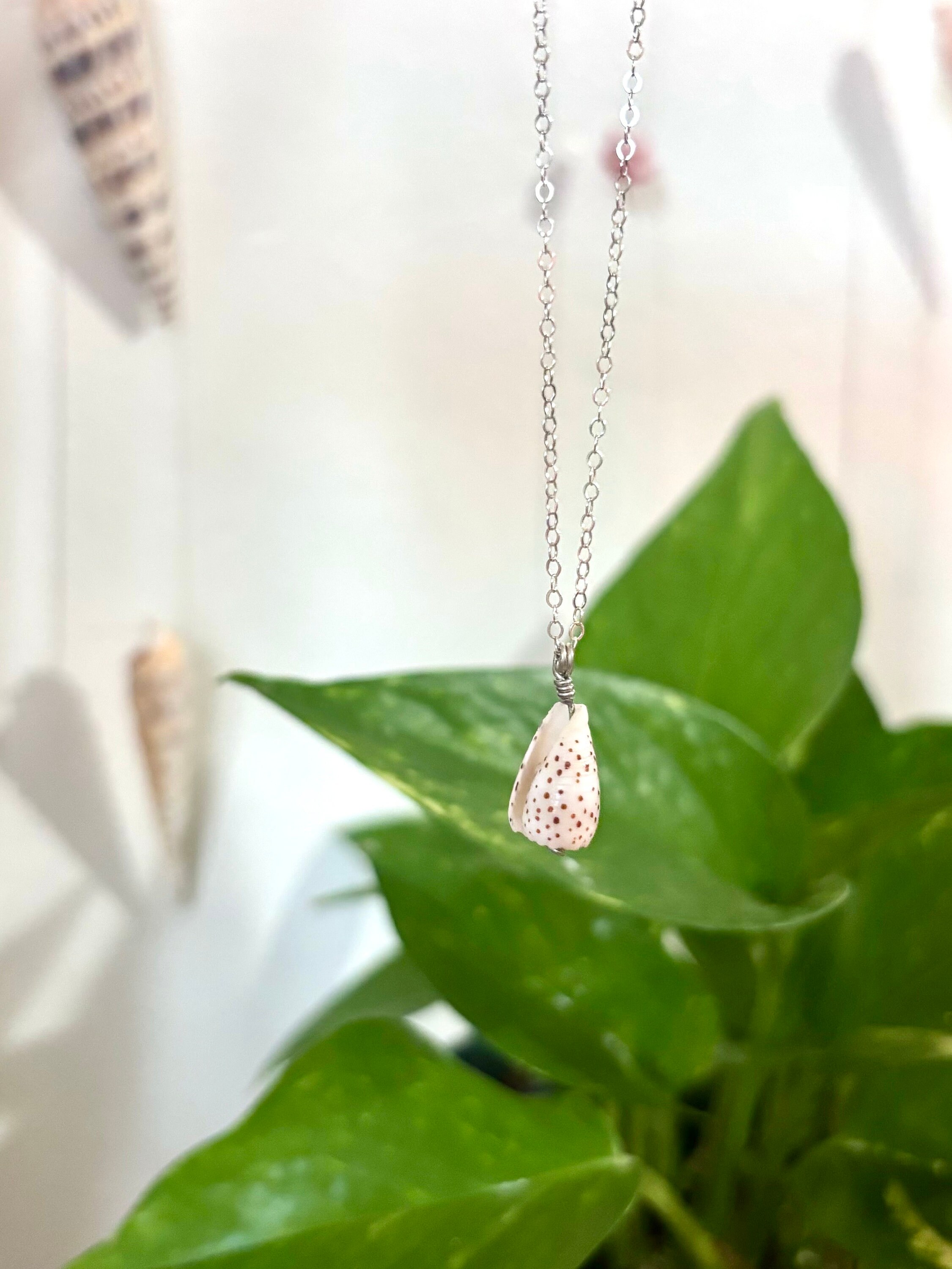 Hawaiian Cone Shell Necklace 1 - Etsy