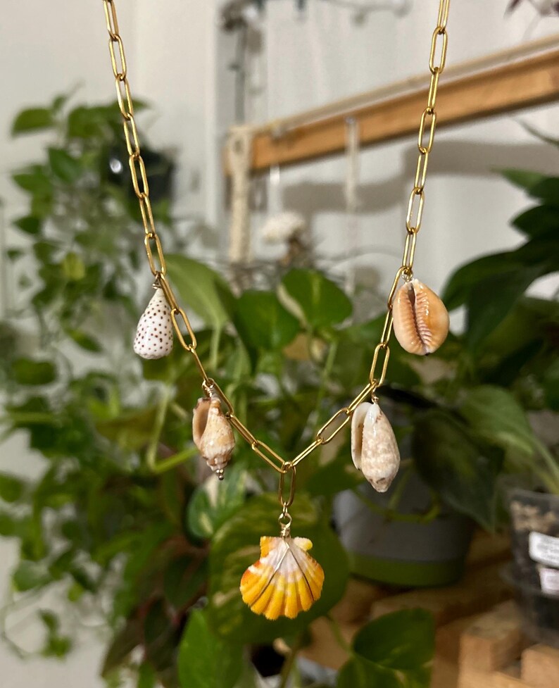 Sunrise Shell & Hawaiian Shells Necklace 31 - Etsy