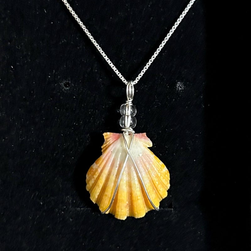 Sunrise Shell Necklace - Etsy