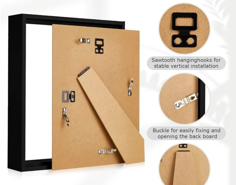 Indonesian Cicada Shadowbox Display Frame Decor Spread Beautiful Real ...