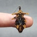 RARE Malaysian Assasin Bug Beetle Real Insect Bug Taxidermy Craft-ready ...