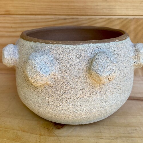 Deep Sea Knobby Planter ~ Indoor Outdoor Succulent Garden ~ Handmade ...