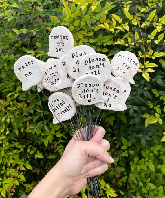 Deep Sea Knobby Planter ~ Indoor Outdoor Succulent Garden ~ Handmade ...