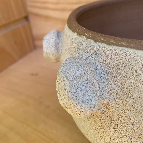 Deep Sea Knobby Planter ~ Indoor Outdoor Succulent Garden ~ Handmade ...