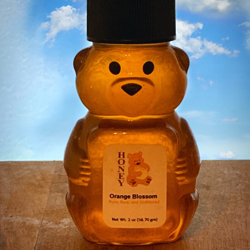 Honey Bear - Etsy