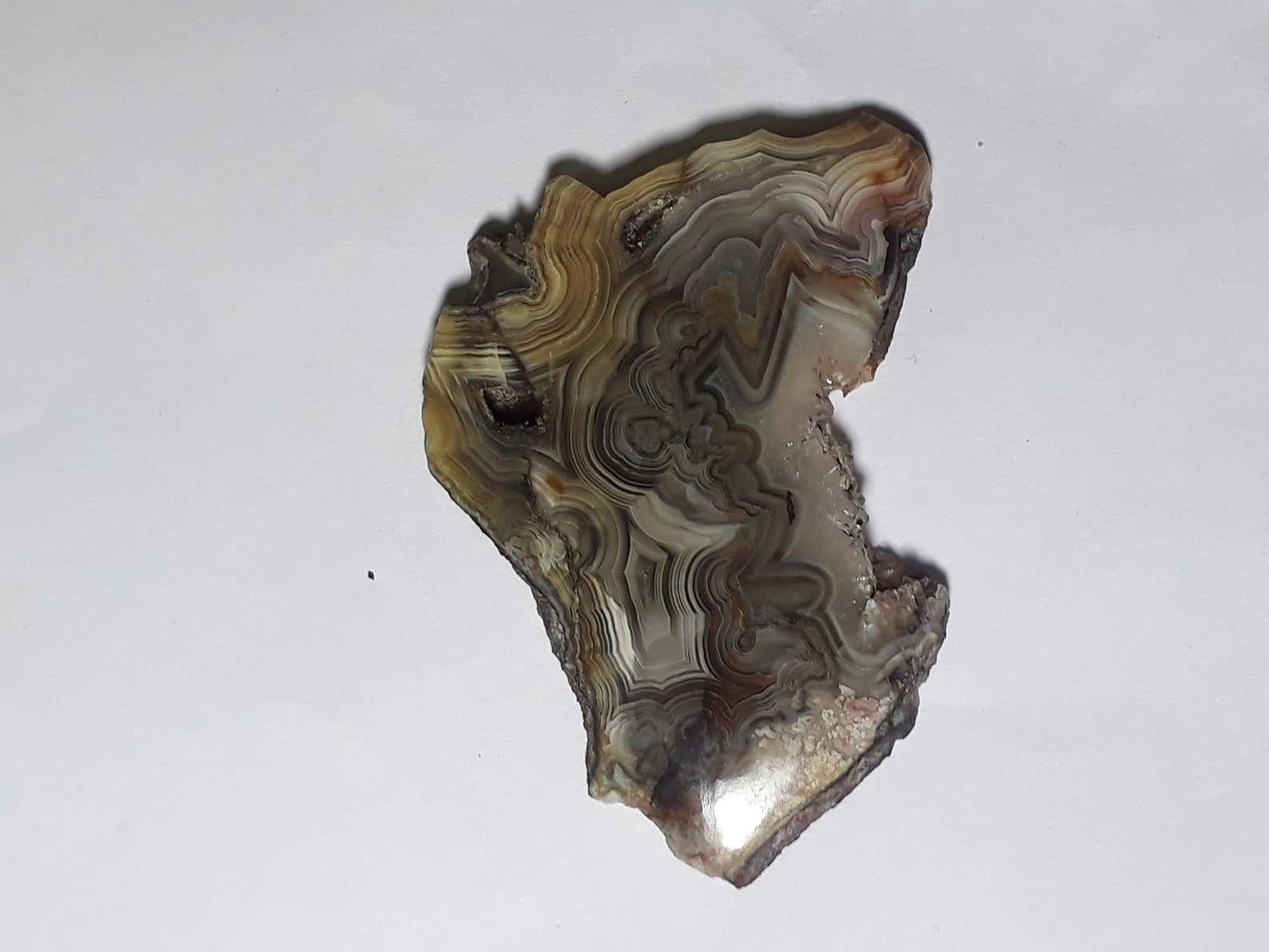 Very Top Quality Crazy Lace Agate Slice CabochonsCrazy Lace | Etsy