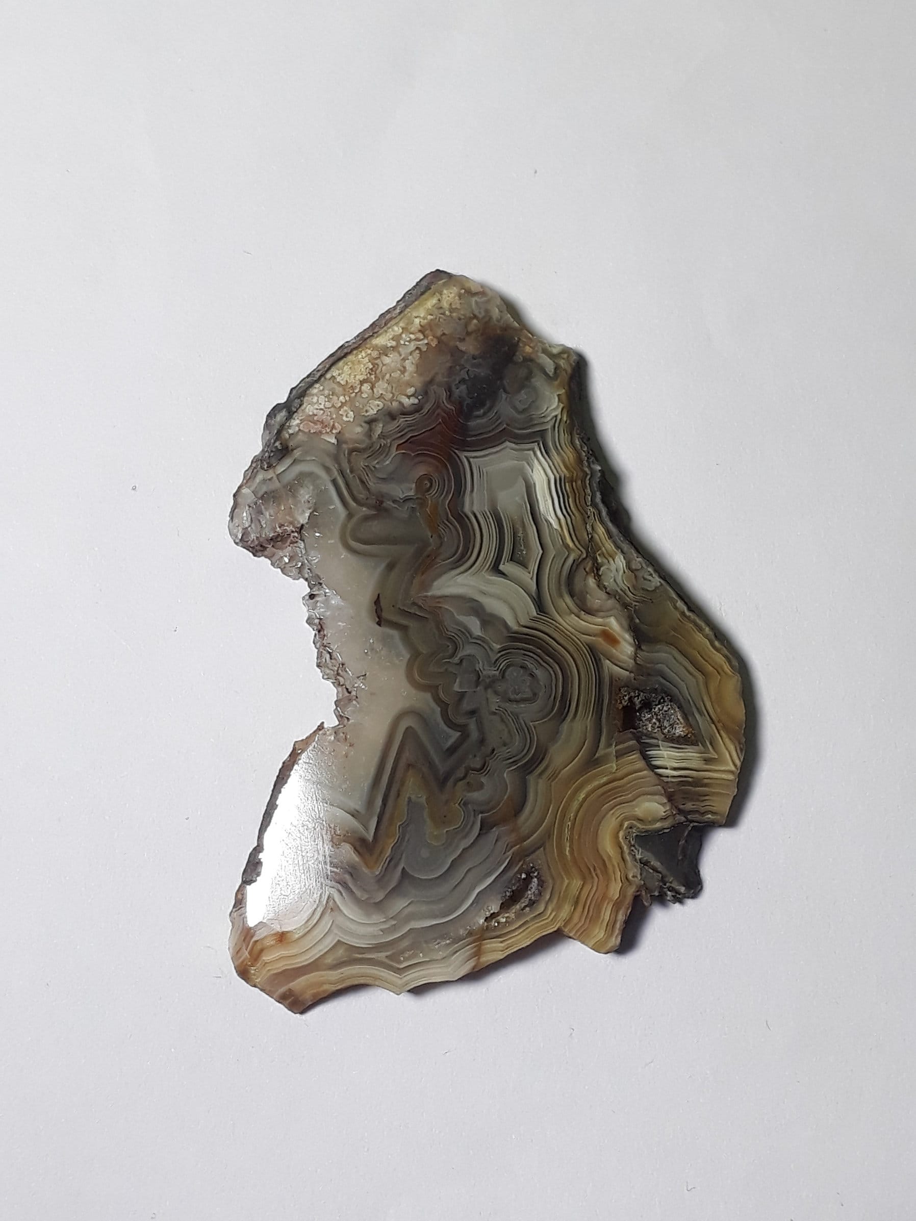 Very Top Quality Crazy Lace Agate Slice CabochonsCrazy Lace | Etsy