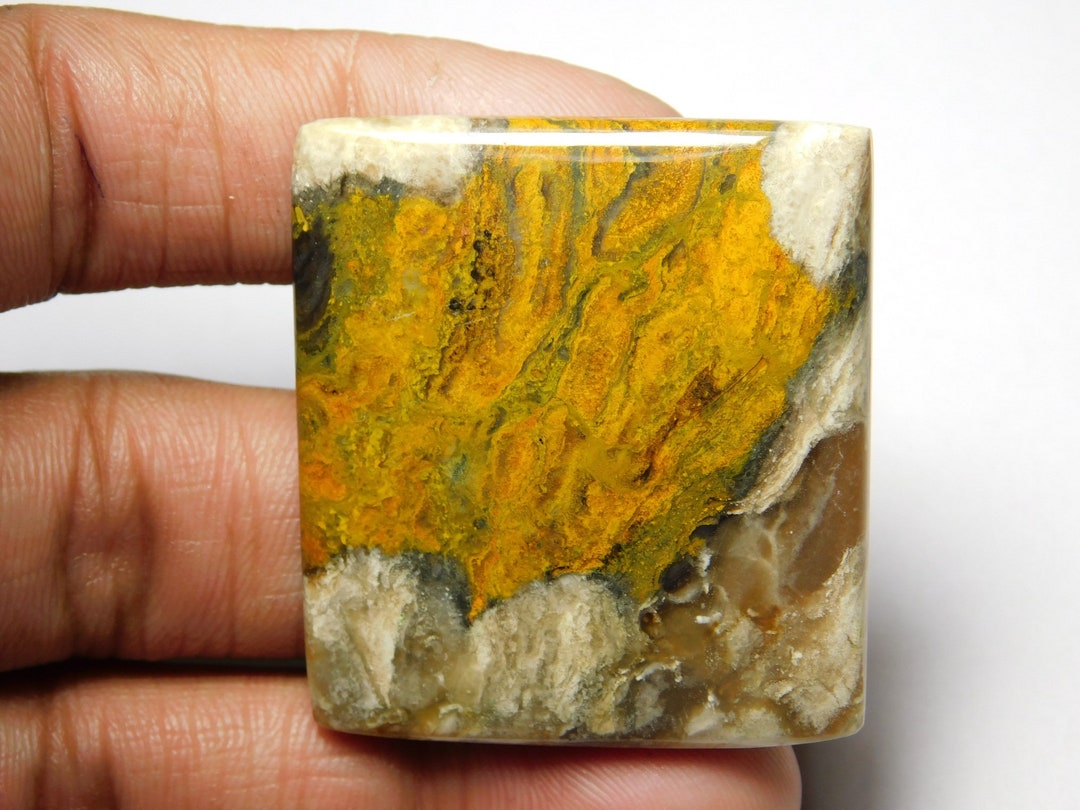 Natural Bumble Bee Cabochons,bumble Bee Gemstone,bumble Bee Loose Stone ...