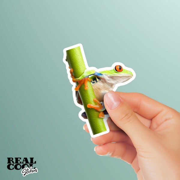 Green Tree Frog - Etsy