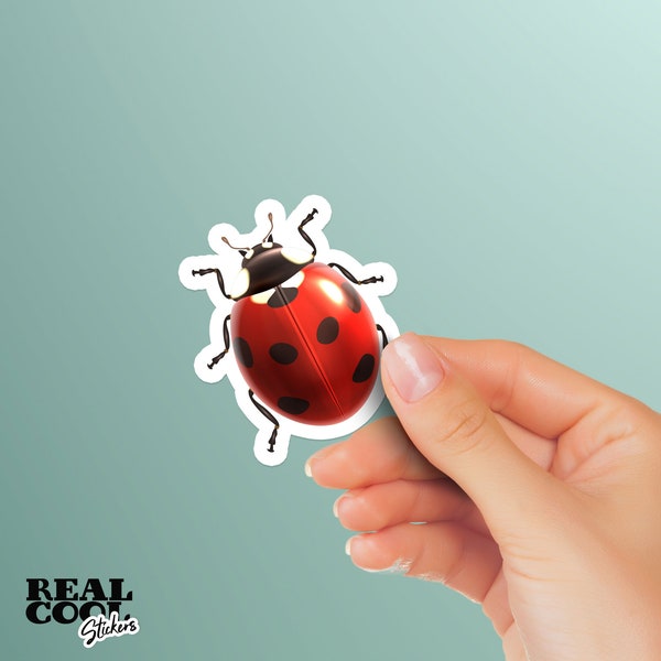 Ladybug Decal - Etsy