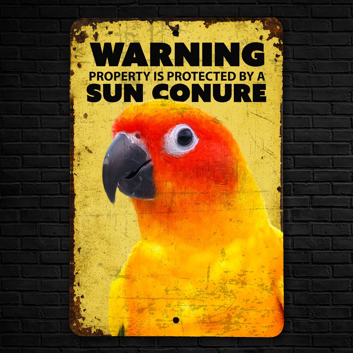 Warning Sun Conure Sign | Parrot Warning Sign | Sun Conure Parrot Sign ...