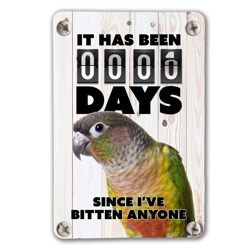 Green Cheek Conure Bite Sign Green Cheek Conure Parrot Sign - Etsy